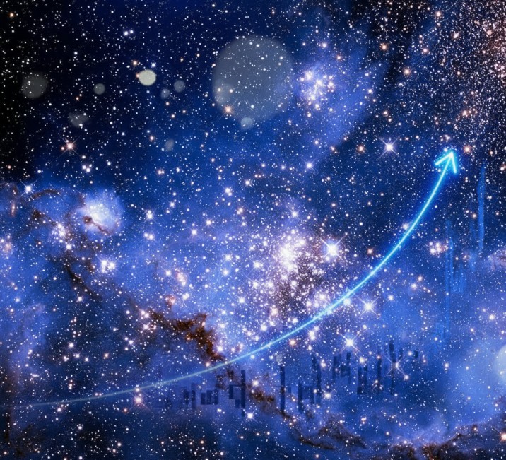 Portfolio | MARSBRIDGE CAPITAL